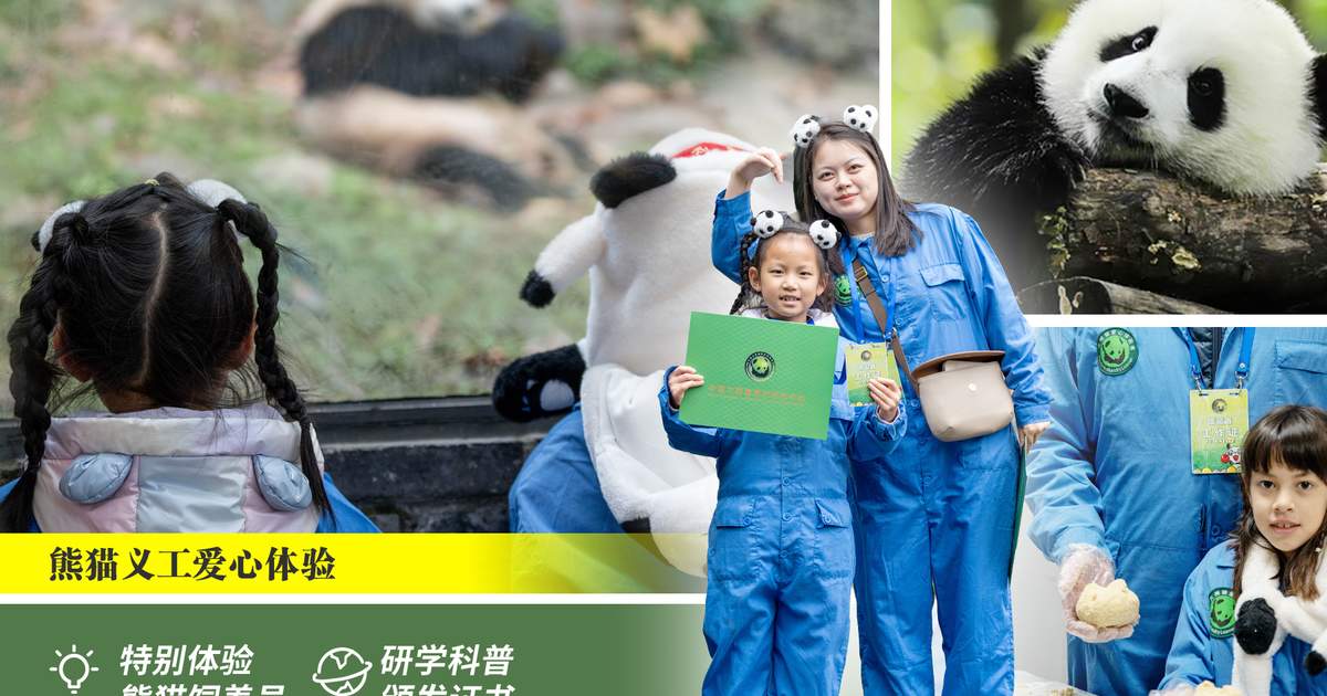 [Panda Volunteer] 1-day love experience Dujiangyan/Wolong Panda Base ...